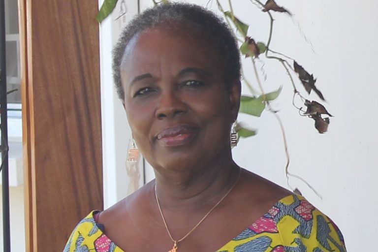 Empowering African Universities - Toyin Falola Network